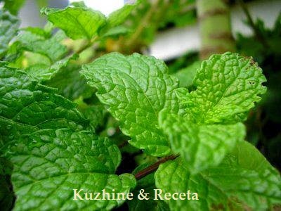 Kuzhine - Receta: Nenexhiku