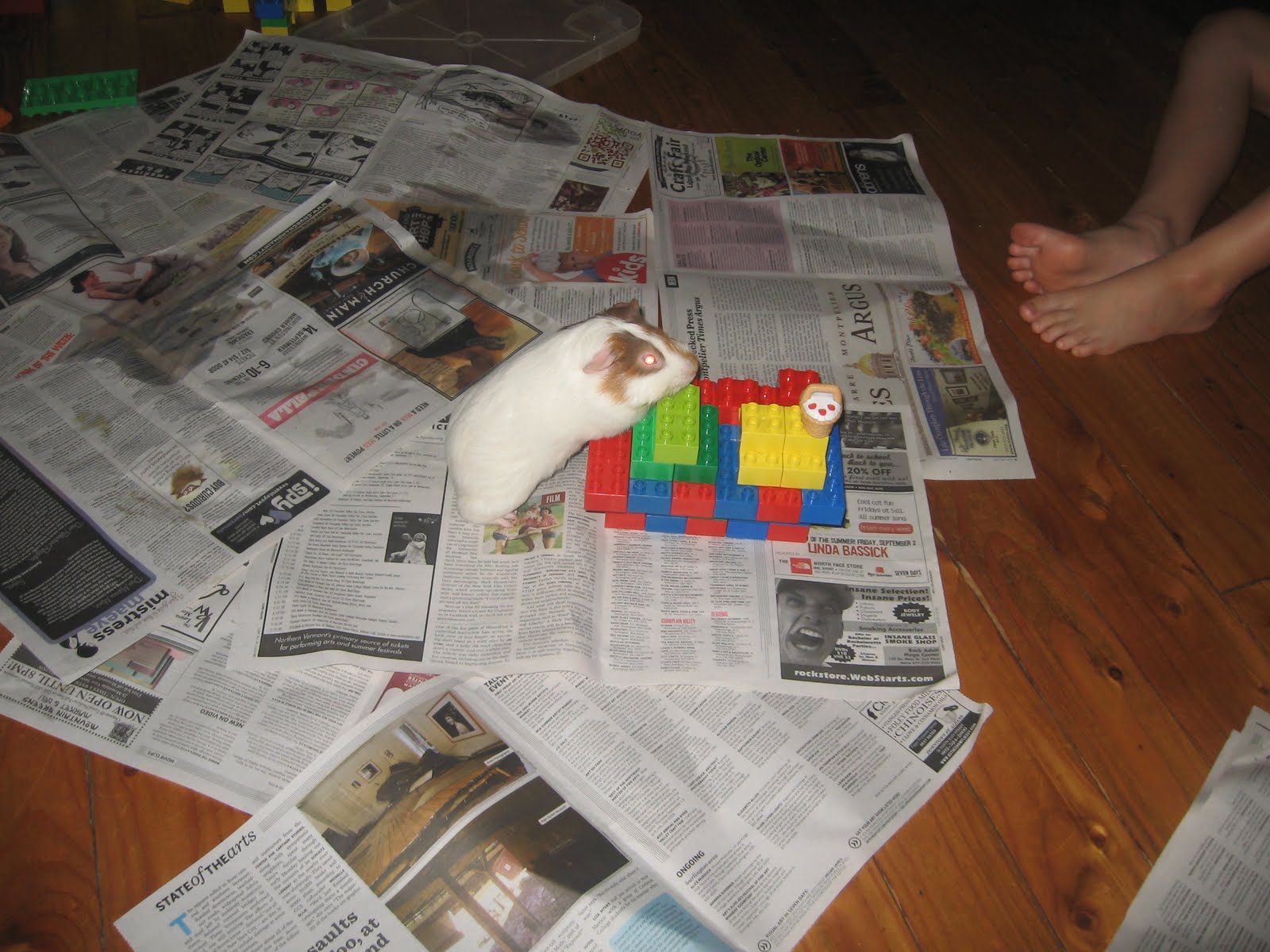 And then you laugh: Lego Guinea Pig