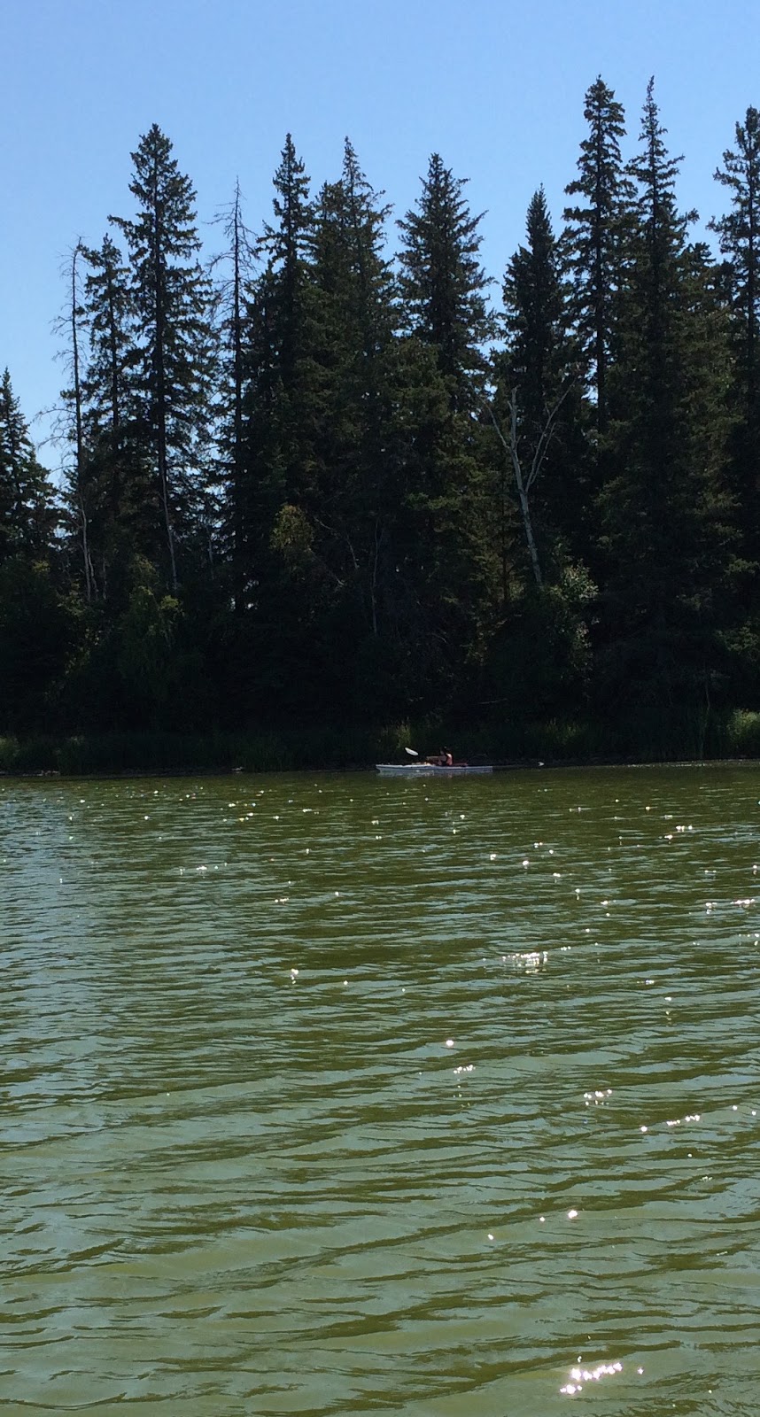 Paddling Near Edmonton, Alberta, Canada: Islet Lake