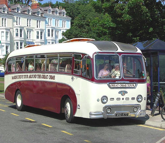 Vintage bus tour