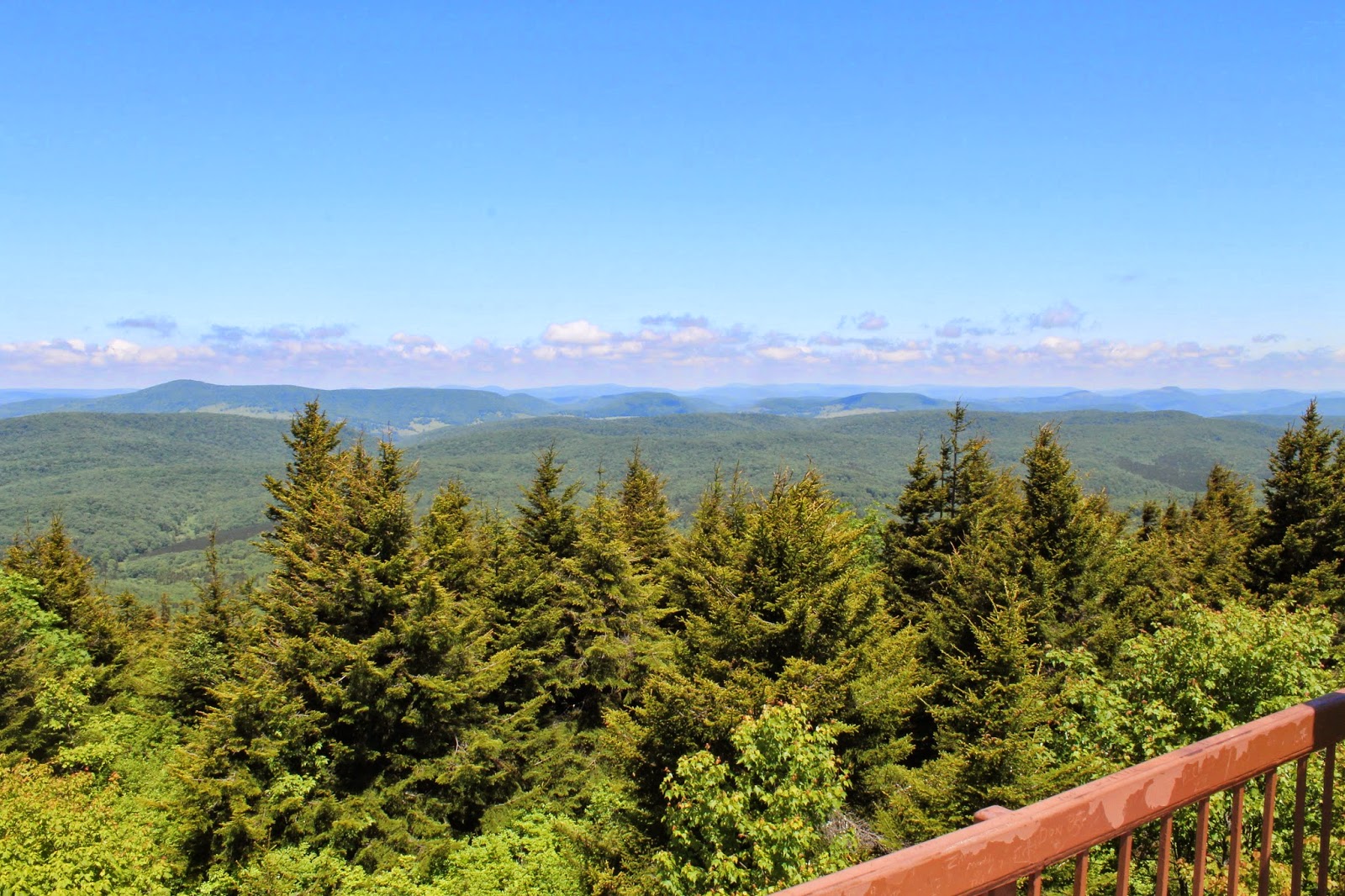 Eric's Days of Battle: West Virginia - Saturday part 1 - Spruce Knob