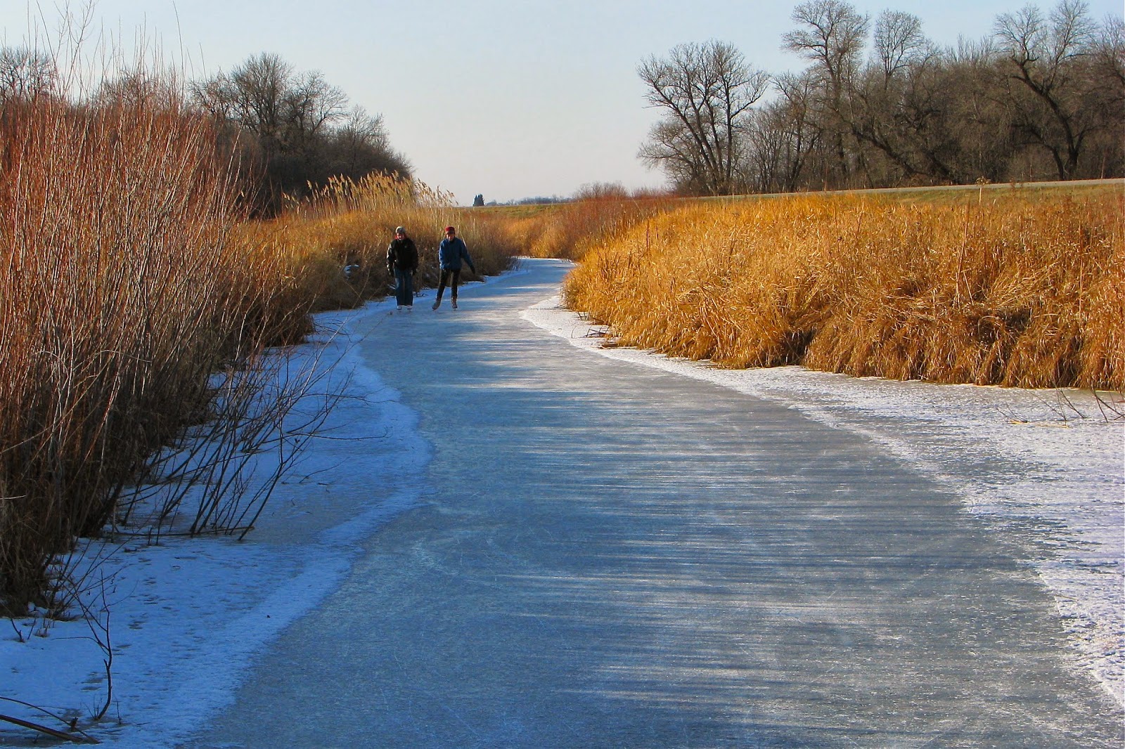 Daily Cup of Adventure: Close to Home Adventures: Ice Skating