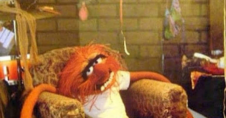 Random Carolina Parrothead Brain Droppings: I'm Back, Hopefully