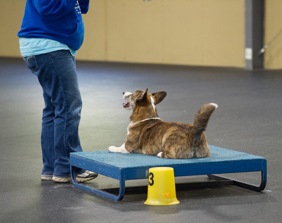 The Brews Brothers: Agility Table Performance