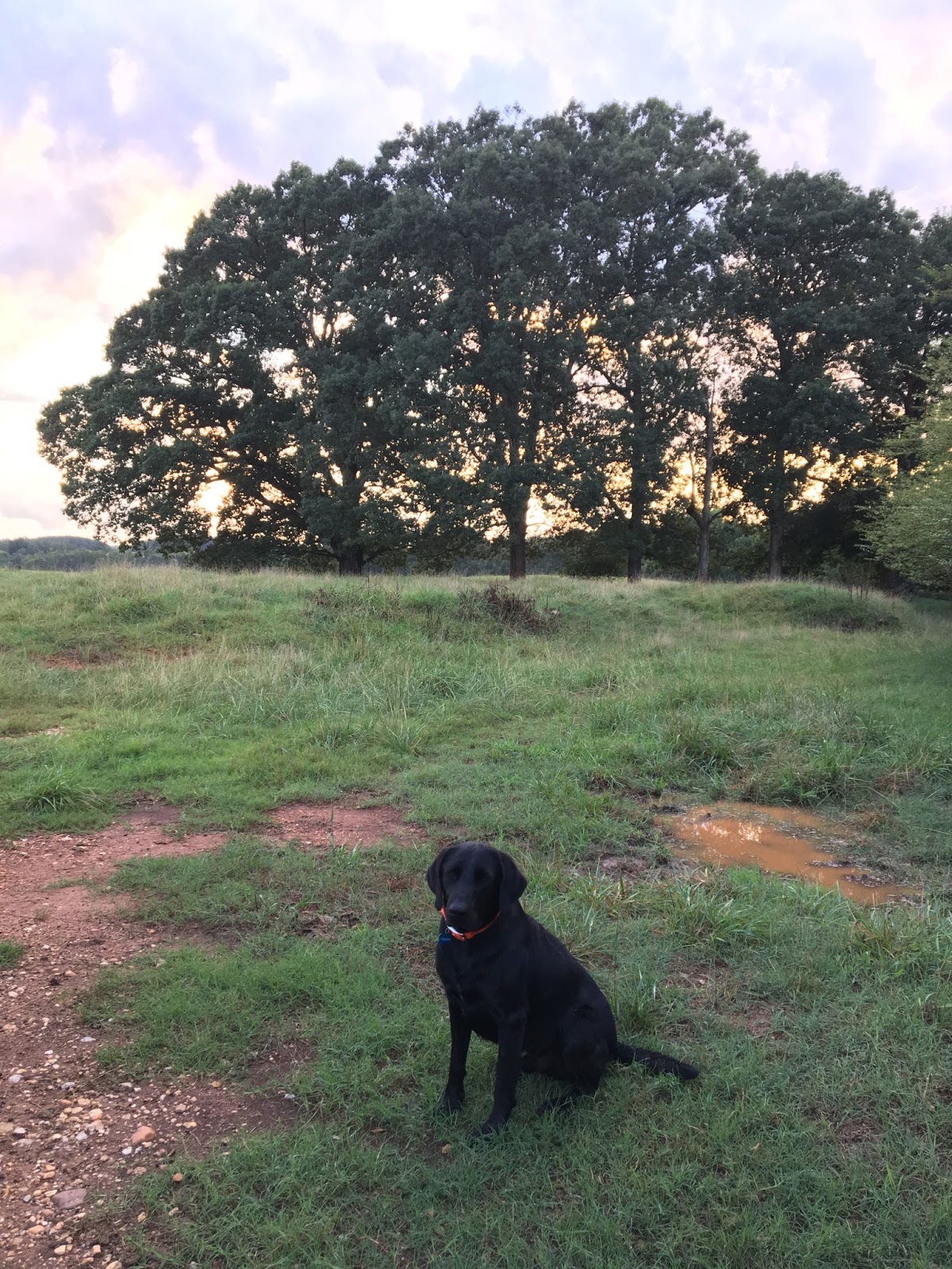 Southern & Style: Ten on Tuesday [No.16]