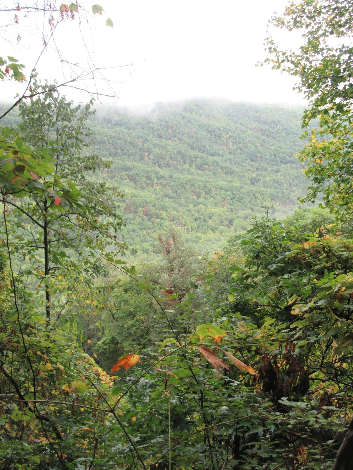 Hikertrash 900: Sugarland Mountain Trail