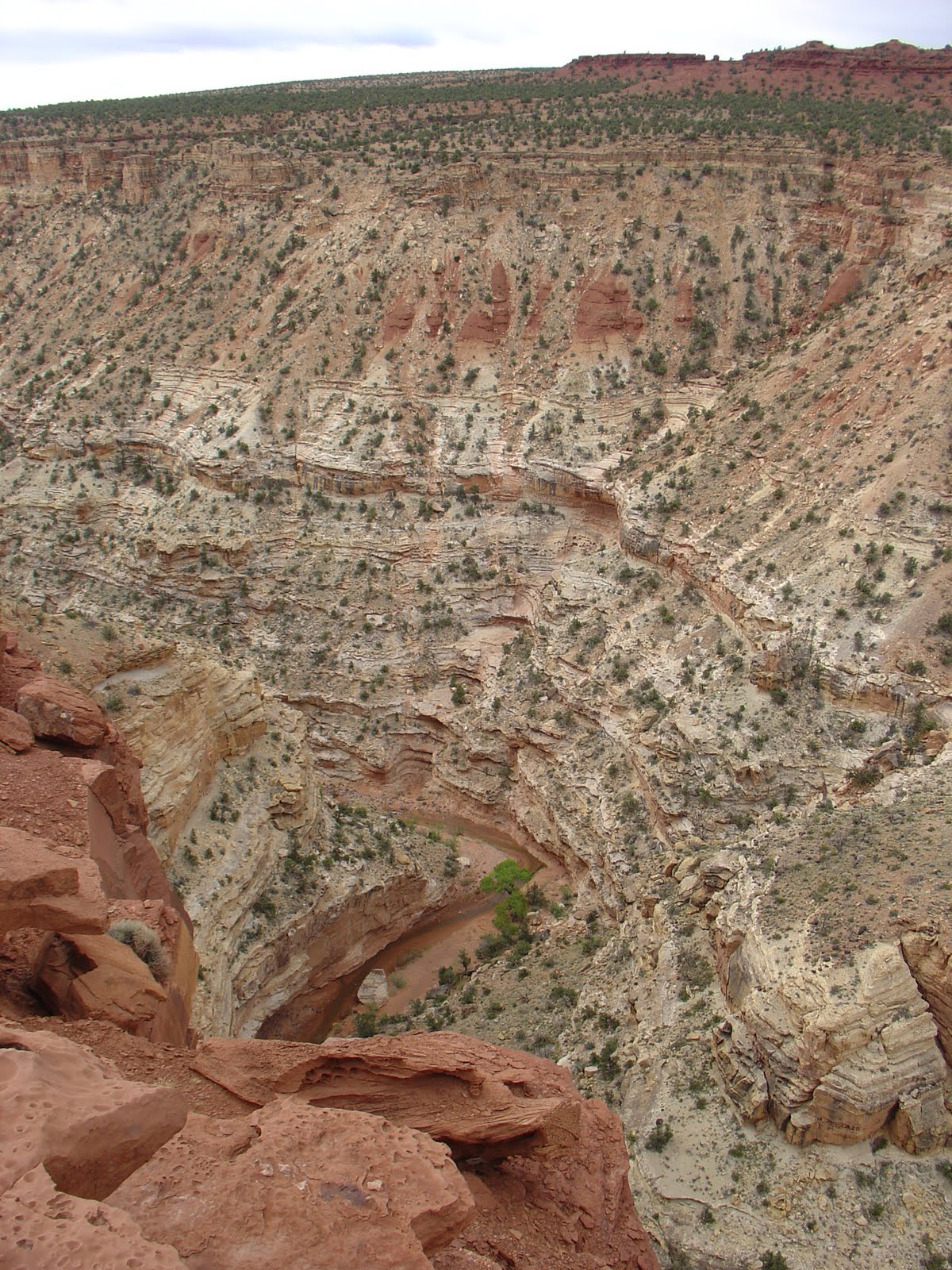 Insolitevasion: Capitol Reef - Arches