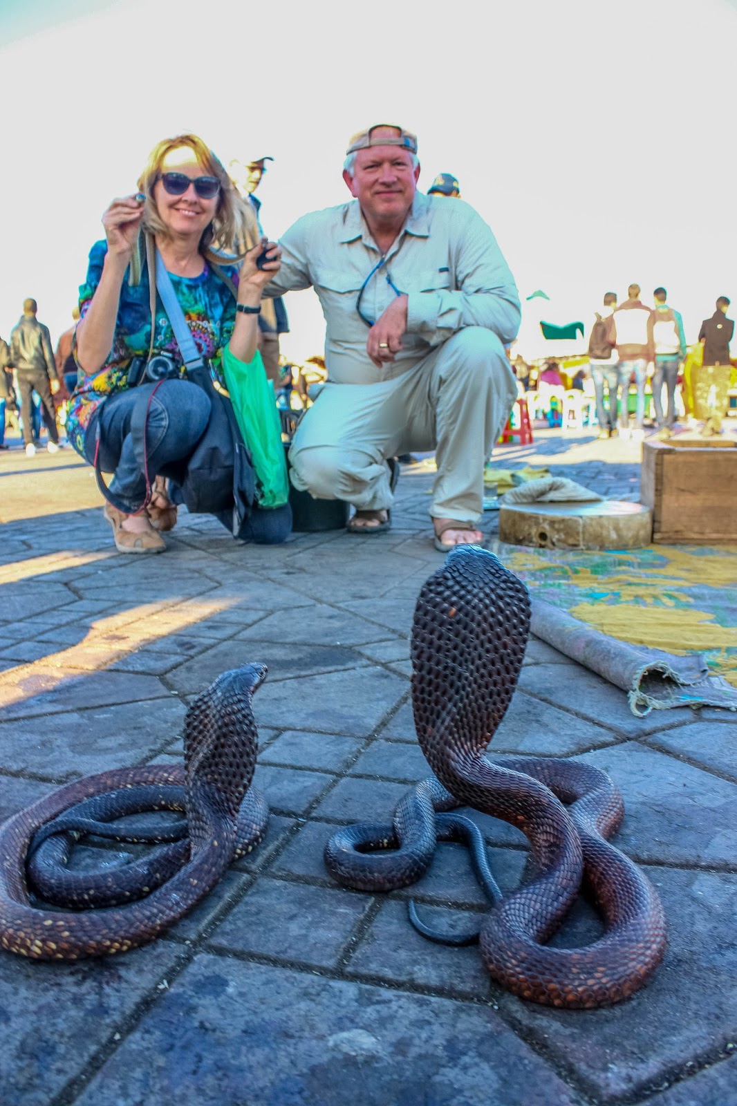 Cannundrums: Snake Charmers of Morocco - Egyptian Cobras and Puff Adders