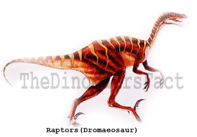 Raptors - The Dinosaurs Facts