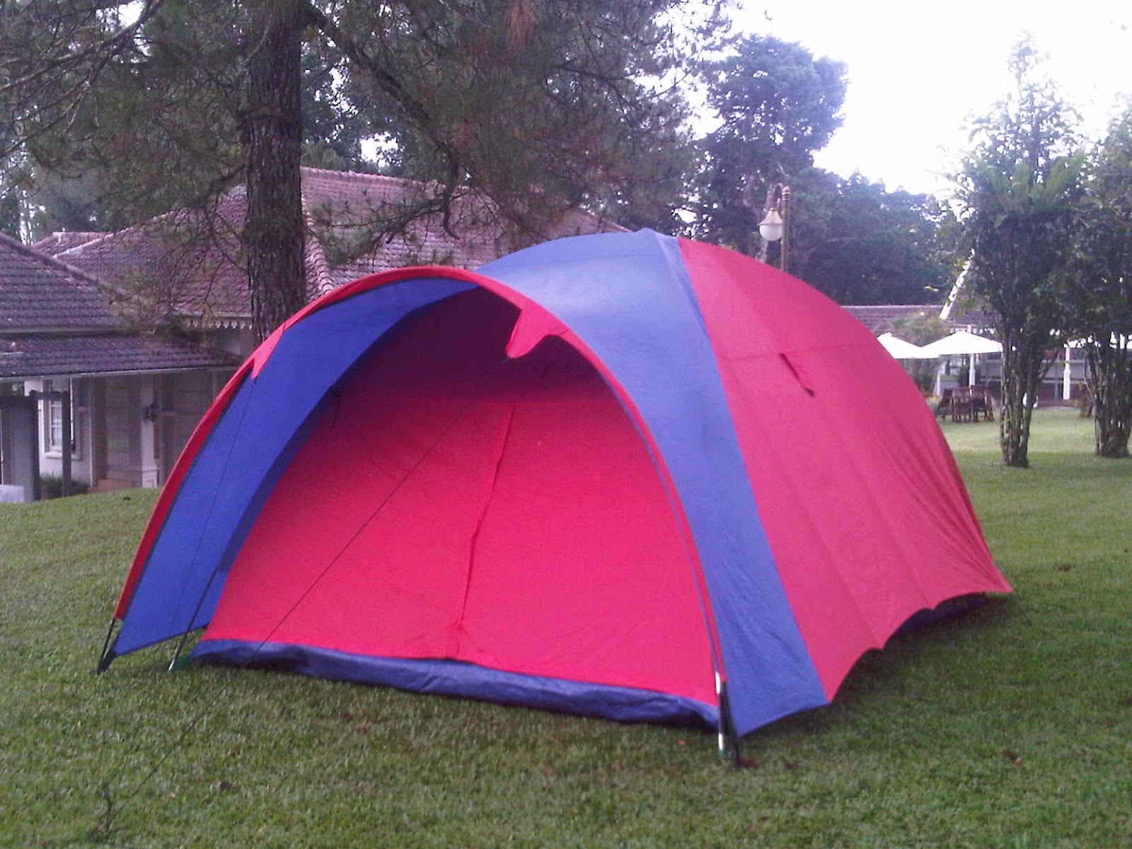 LAYANAN SEWA TENDA CAMPING MANDALAWANGI CIBODAS CAMPGROUNDS