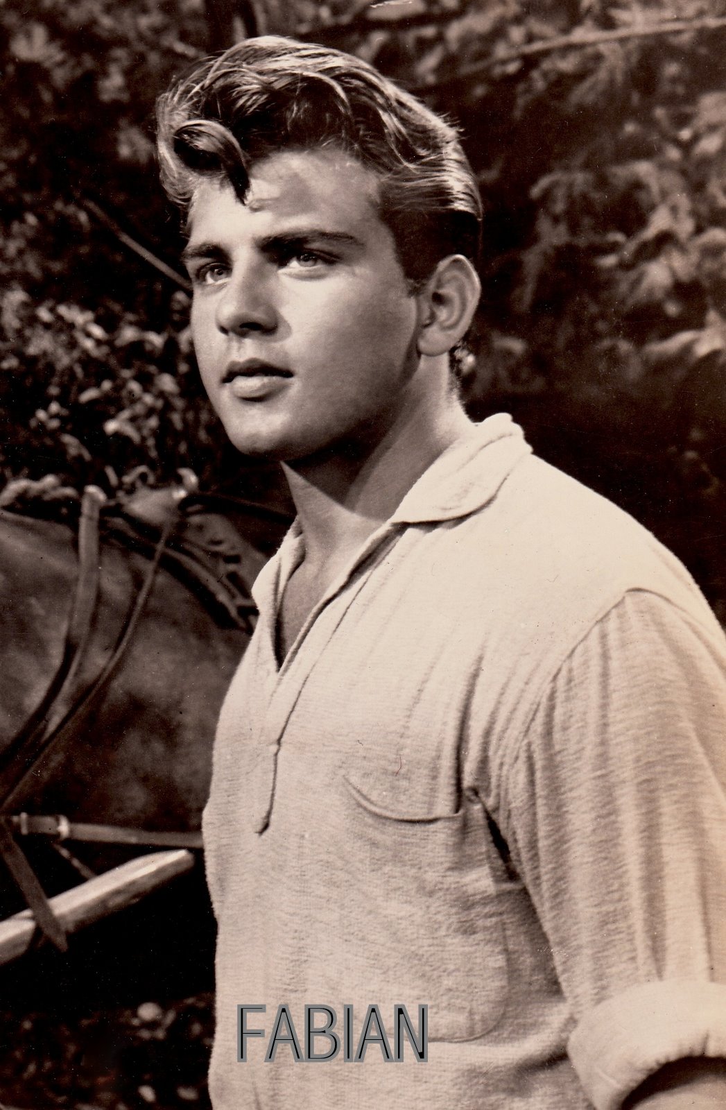 A VERY LUSH BUDGET: TEEN IDOLS: FABIAN FORTE Pin-ups & covers