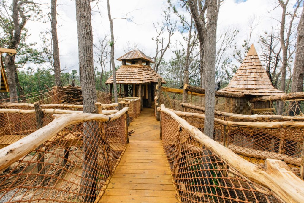 The Garage Mahal: Anakeesta Aerial Adventure Park