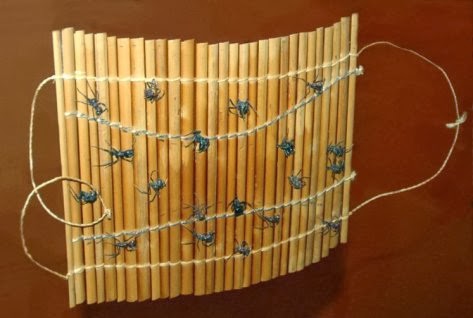 Ritual de Iniciación de la Tribu Satere Mawe - Tradiciones y ...