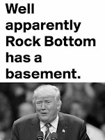 Lost in the Bozone: 2018