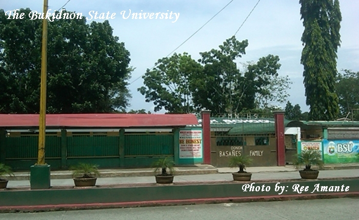 SouthernDC Post: The Town Center of Monkayo ( Monkayo Poblacion year 2011)