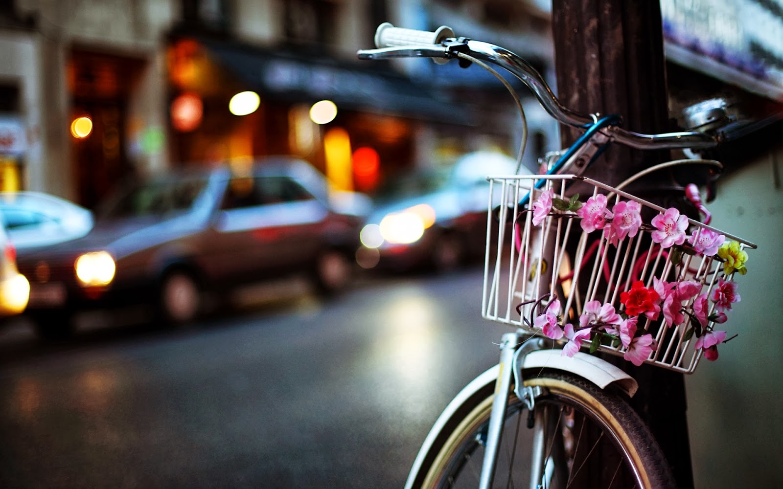 Banco de Imágenes Gratis: 15 wallpapers para el fondo de tu computadora ...