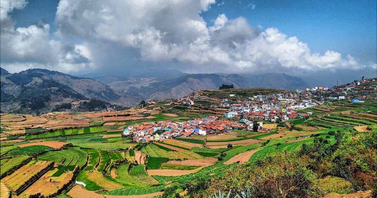 Sarathy the Traveler