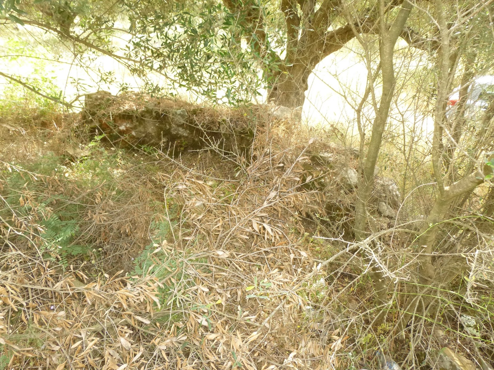 ΓΙΑΝΝΗΣ Δ.ΛΥΡΑΣ: Η ΠΟΛΙΤΙΣΤΙΚΗ ΚΛΗΡΟΝΟΜΙΑ ΣΤΗΝ ΑΝΘΟΥΣΑ ΜΕΣΣΗΝΙΑΣ