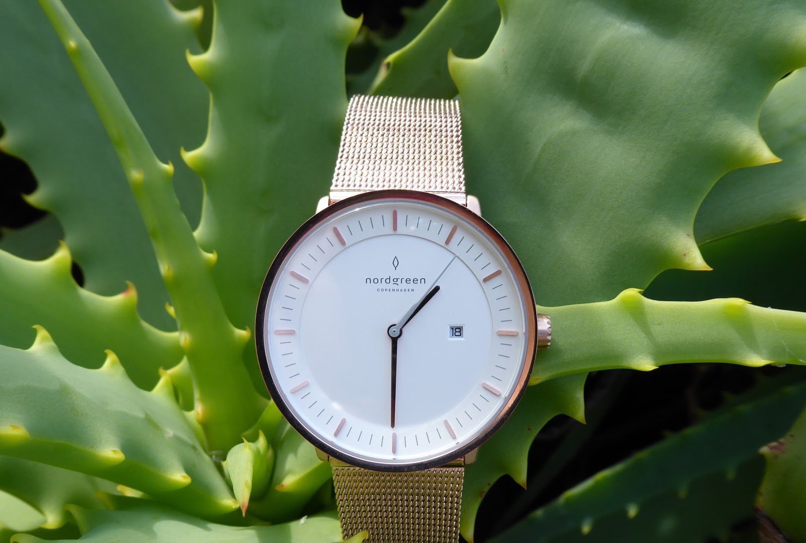 My new Nordgreen watch plus an exciting offer for you | Anna's Island Style