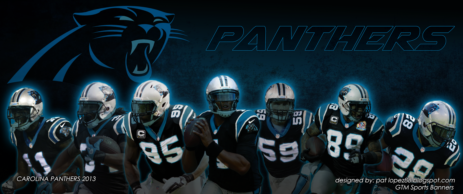 P.Lo's Designs: Carolina Panthers Banner