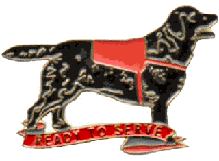 Flicka da Cookie Cafe