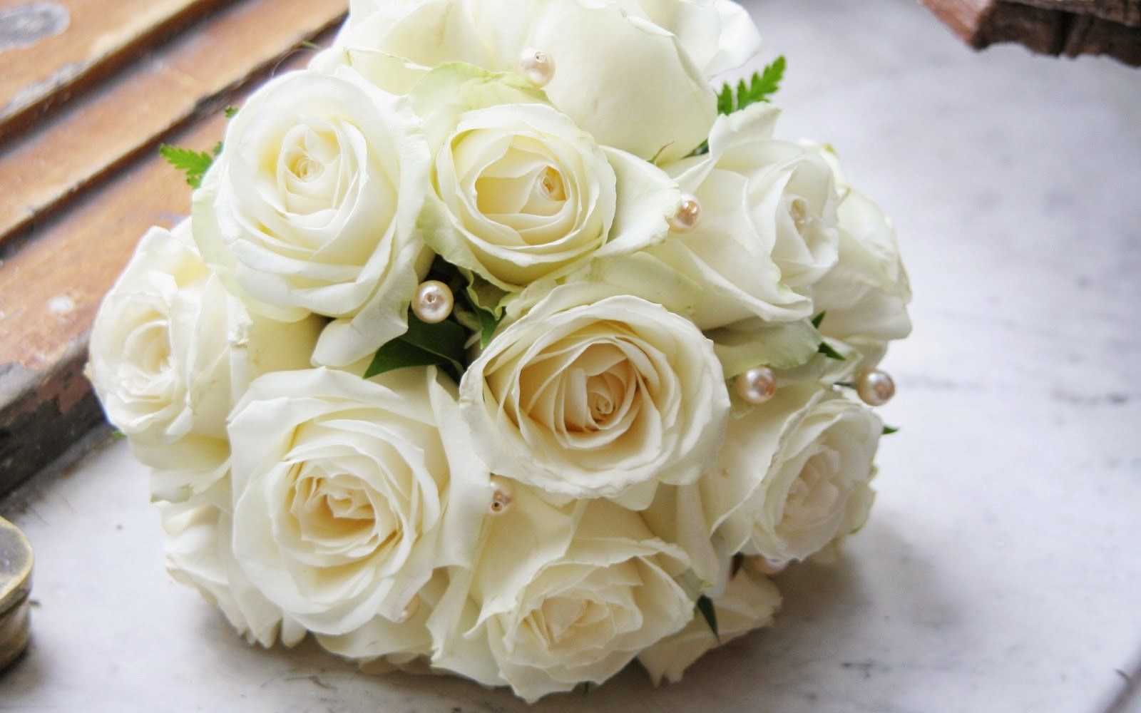 Amazing Love White Rose|http://refreshrose.blogspot.com/