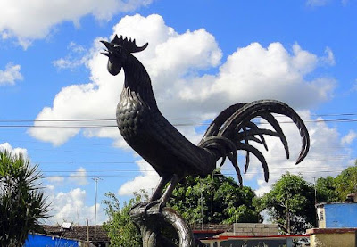 notas cordobesas: EL GALLO DE MORÓN