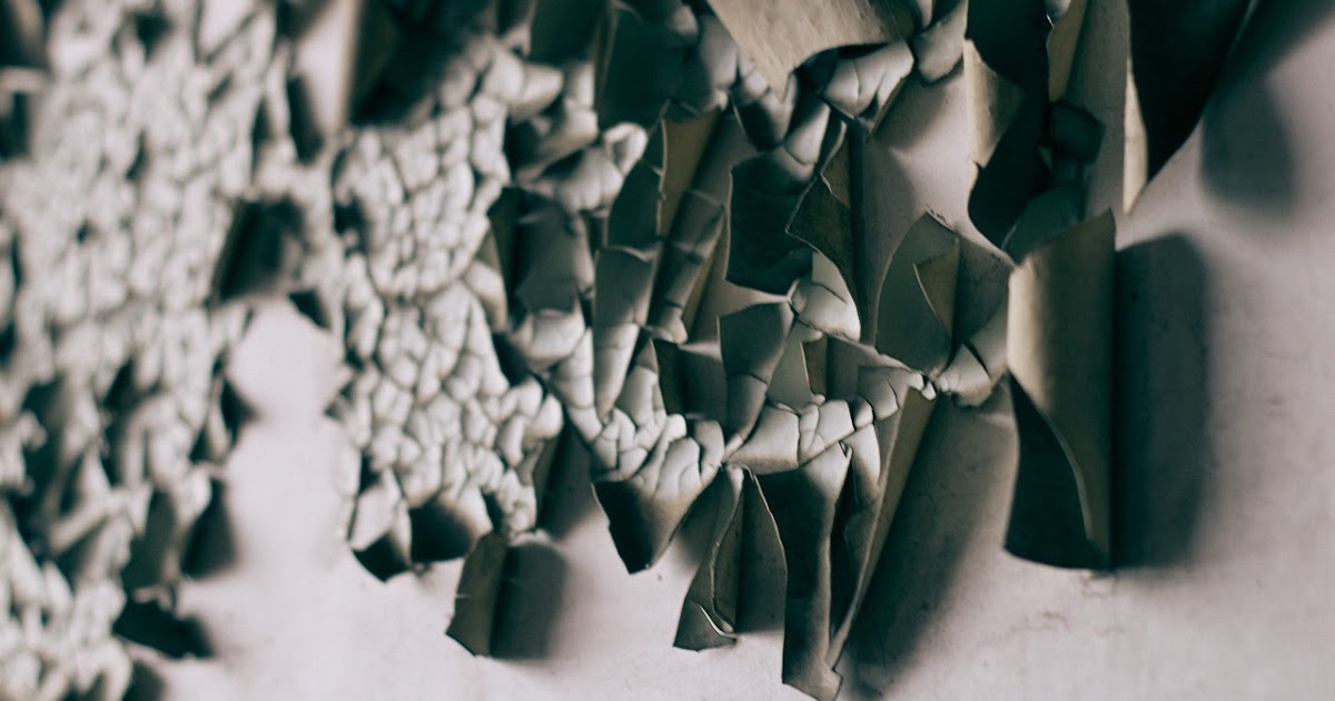 Grasshopper and the octopus | Insomnia