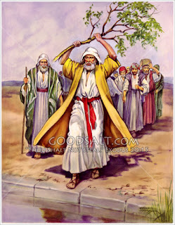 Word of the day: Turning Mara into Elim