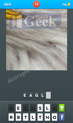 Zoomed In - Photo Word Game Level 72 ~ Doors Geek