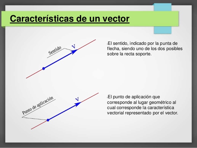 caracteristicas de vector
