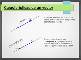 caracteristicas de vector