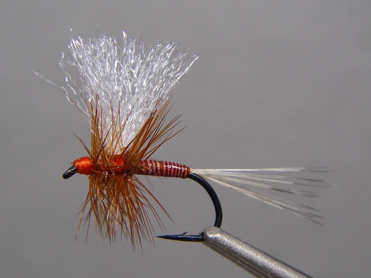 LoJ Ramblins': Red Quill