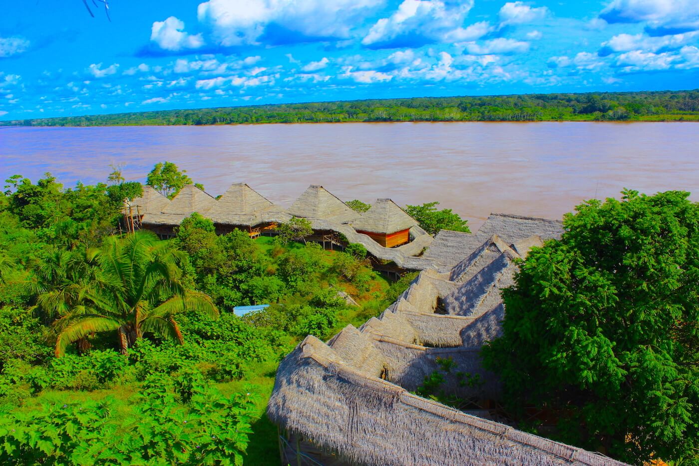 Carlita: The Tourist's Guide to the Peruvian Amazon (Surviving the ...