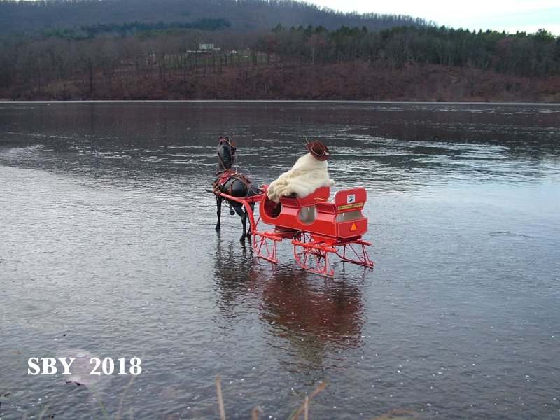 Timaru Star II: 2018