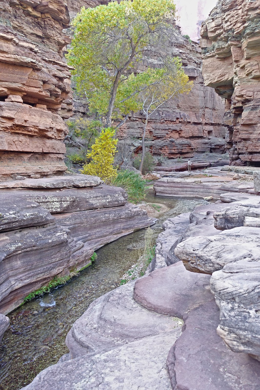 Saumya's Hiking Trips: Grand Canyon (Thunder River/Deer Creek Trail ...
