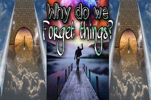 Why Do We Forget Things? | Preventing Memory Loss -The Secret to ...