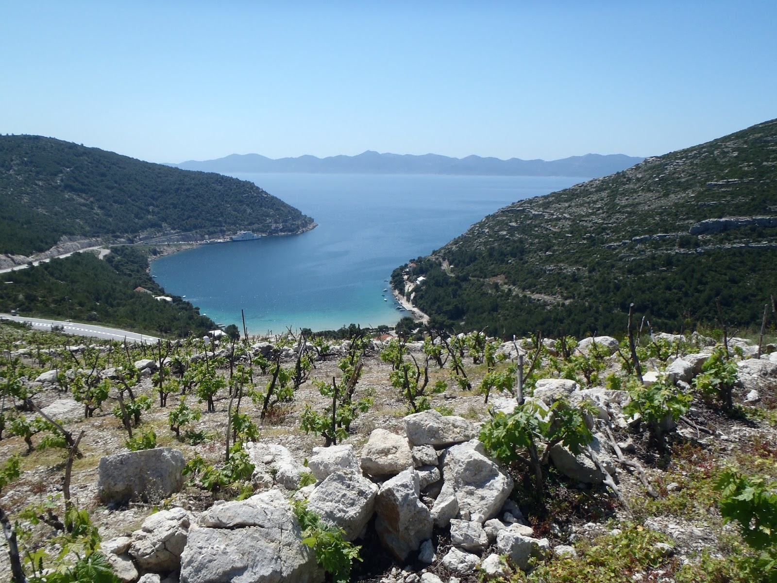 Vigneti in Italia e nel mondo - La grande bellezza del Vino - Wine Blog ...