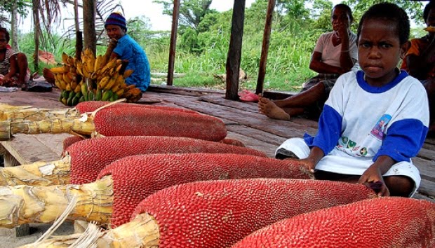 AWPA Sydney : 1) Expanding Red Fruit Crops in Papua