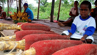 AWPA Sydney : 1) Expanding Red Fruit Crops in Papua