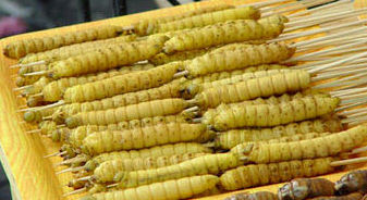 LANGKAH TARI JEMARI: ulat dan beras...