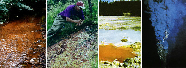 UNIVERSO HUMANO: Fósiles de bacterias más antiguas de la Tierra