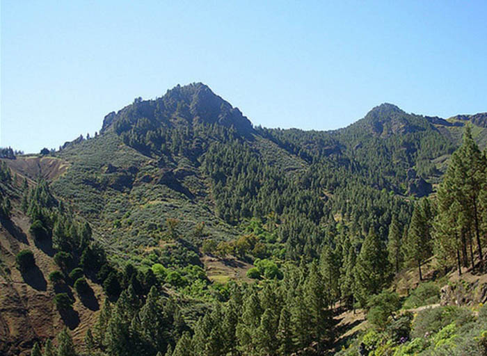 Mi Gran Canaria: GAMONAL, HOYA DEL (SAN MATEO)