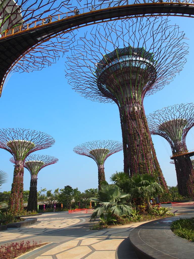 The Supertrees of Singapore ~ Kuriositas