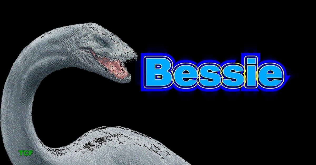 The Crypto Files - Bessie ~ The Crypto Crew