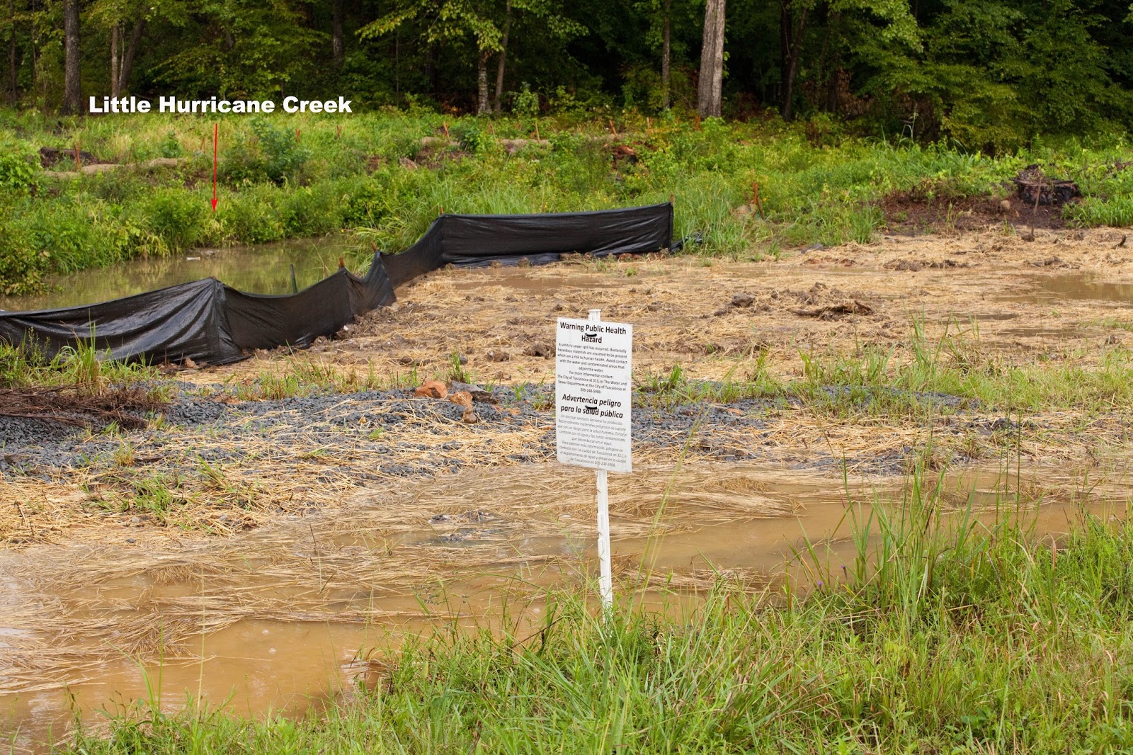 Your Hurricane Creekkeeper: SEWER OVERFLOW on Little Hurricane Creek