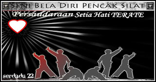 SERDADU 22: historis perkembangan PSHT