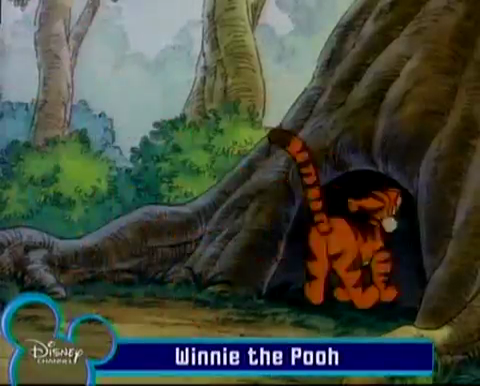 The New Adventures of Winnie The Pooh: Tigger's Shoes