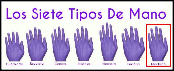 BRUJITAS HABILIDOSAS EN LA WEB: Quironimia: Siete tipos de manos y sus ...