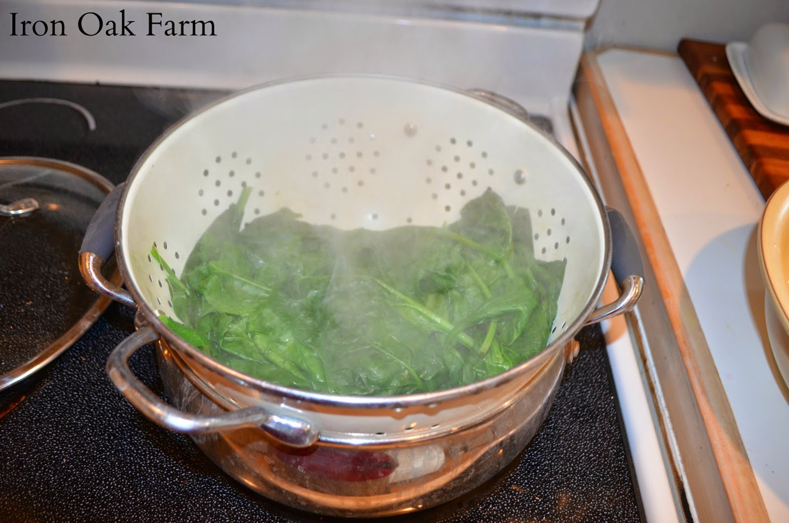 Iron Oak Farm: Spinach: Steaming, Blanching and Freezing